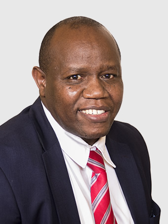 Management Team | Ollin Sacco Society Ltd